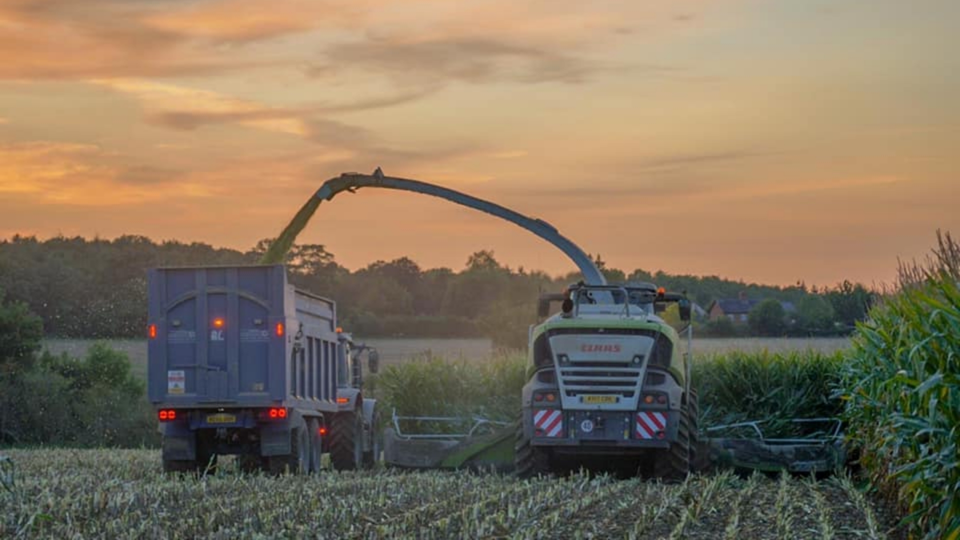 Biomass Services | Renewables for Power Plants | O J Neil Contracting