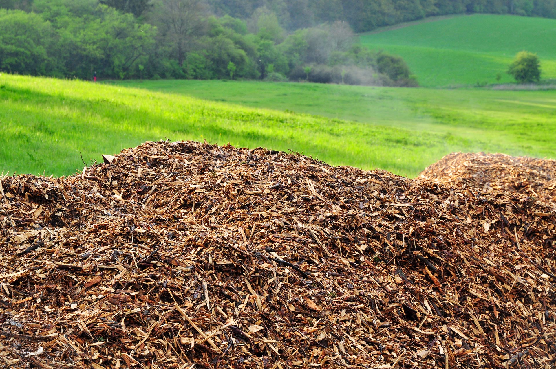 Government Funding to Boost UK Biomass | OJ Neil Contracting